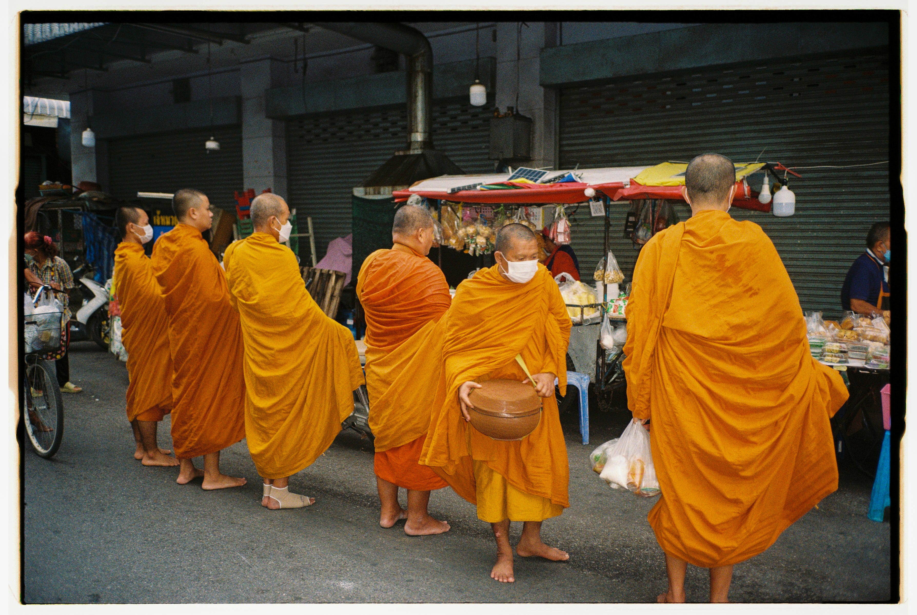 Analogs and the Stories Behind Them - by Jule Noah