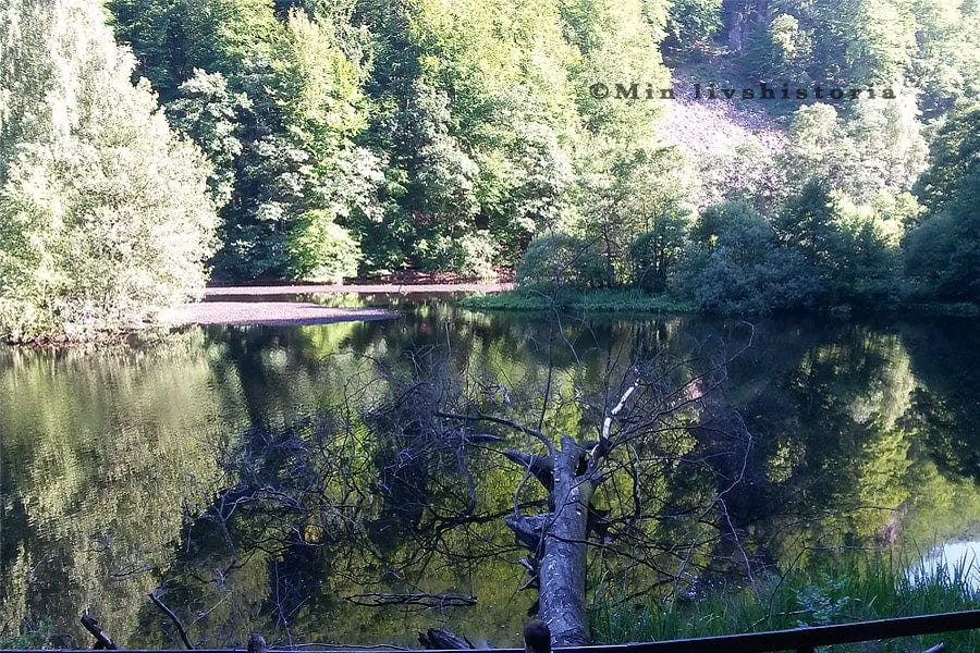 SVERIGES DOLDA NATURSKATT - by Minlivshistoria.