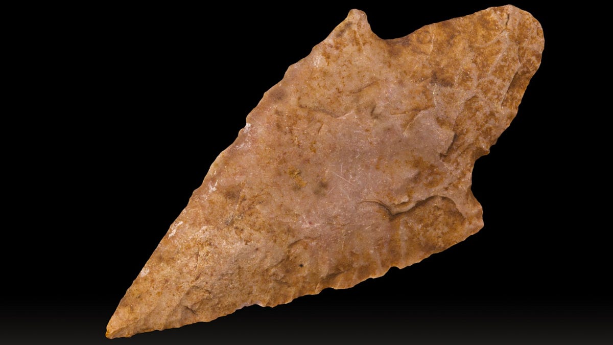 The 60,000-Year Chemistry Lab: What Poison Arrows Tell Us About Stone ...