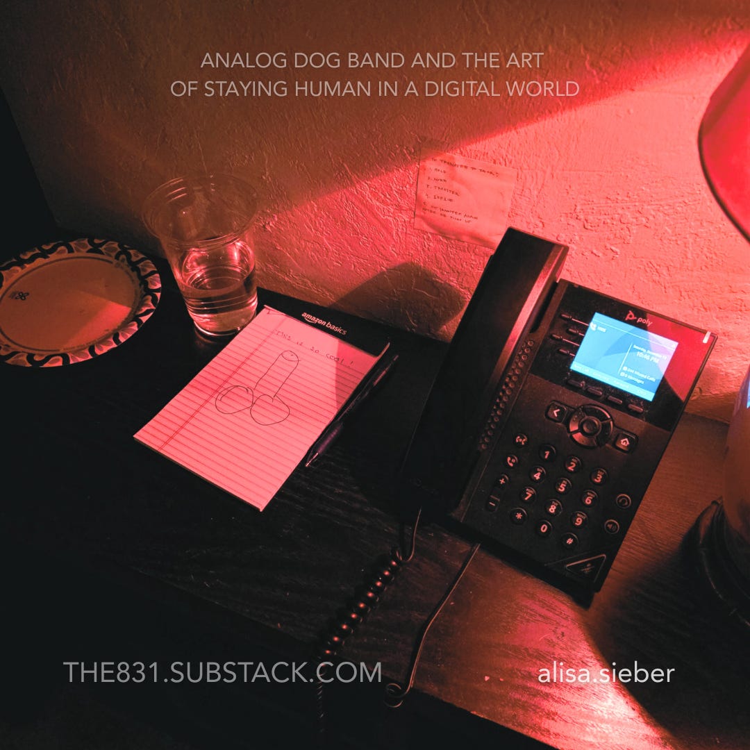 Analog Dog Band and the Art of Staying Human in a Digital World
