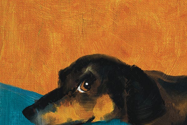 The Travelling Artist | Jo Scott | Substack