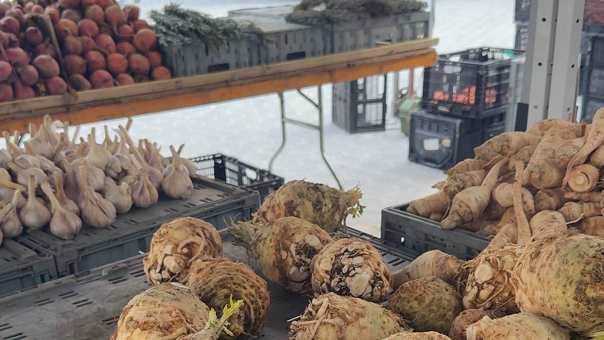 The Winter Dinner Party Menu: Slow roasted tenderloin, celery root and ...