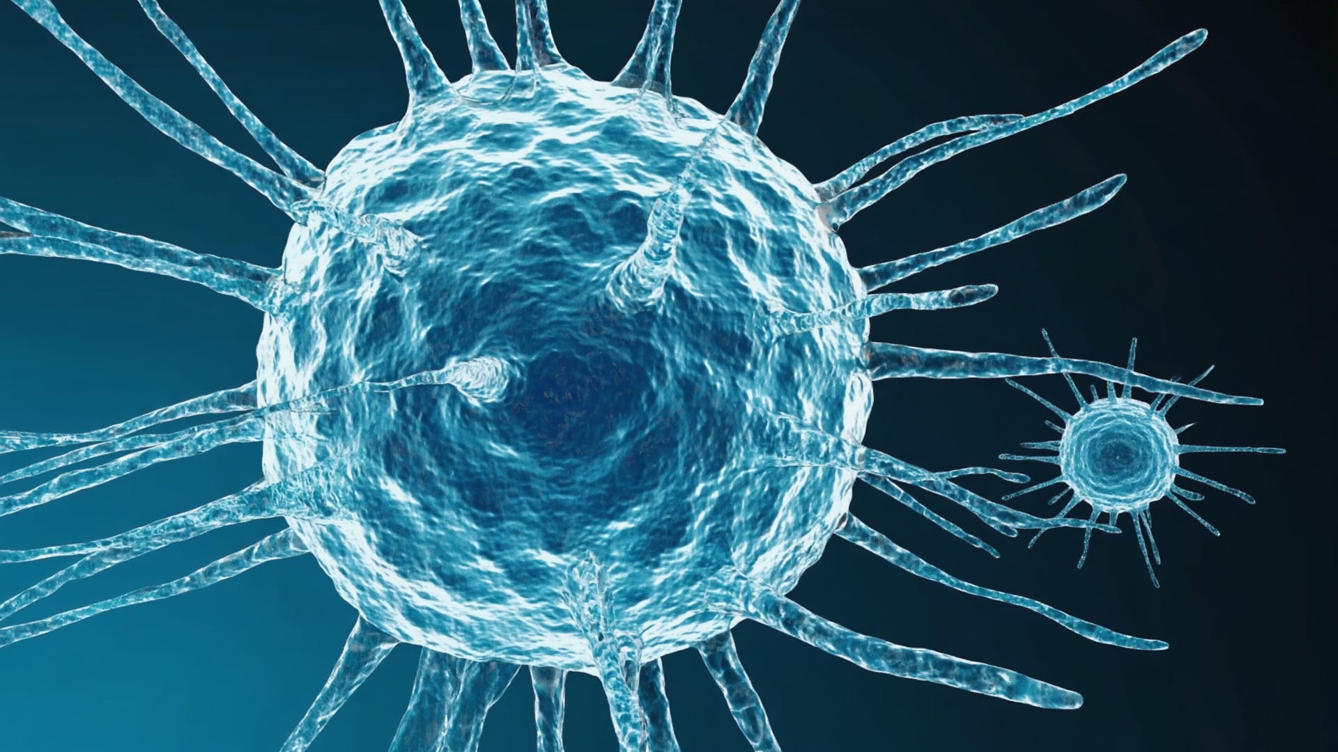 The Cellular Architecture of Immunity: A Systems Overview of Human ...