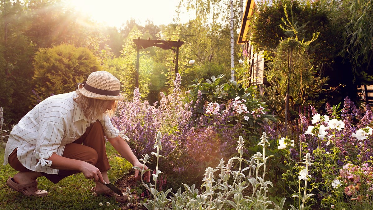 Comments - Whatcha Doin' This Weekend??