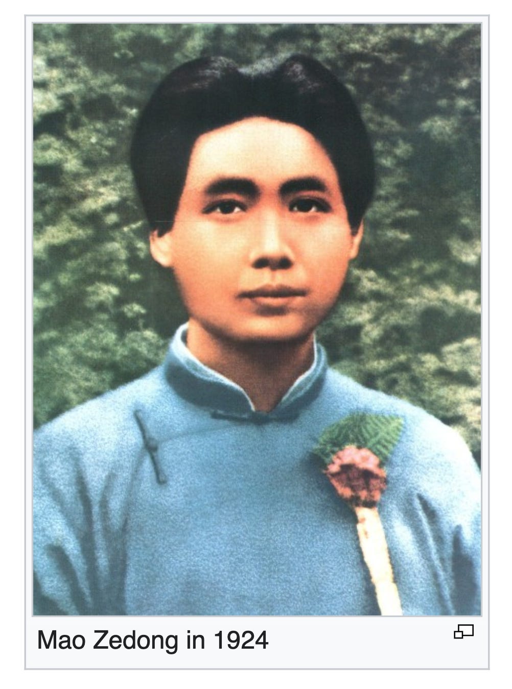 Mao Zedong's Rise and Use of Power, Explained