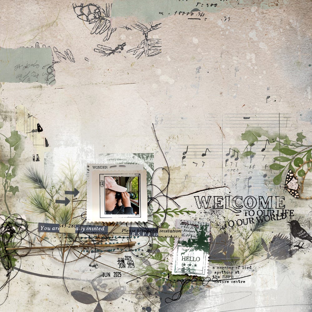 Life in Pictures Deconstructed No.13