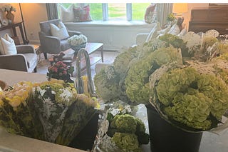 Megan’s Substack | Megan Kristel | Substack