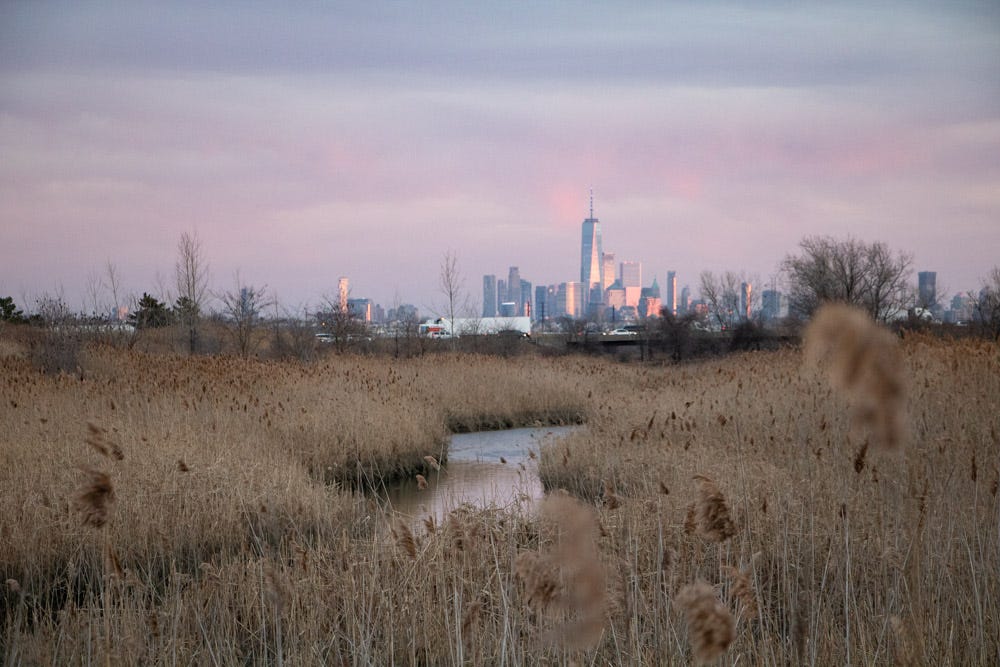 Poor Johnnie Ray - by C.J. Heath - The Place Betwixt
