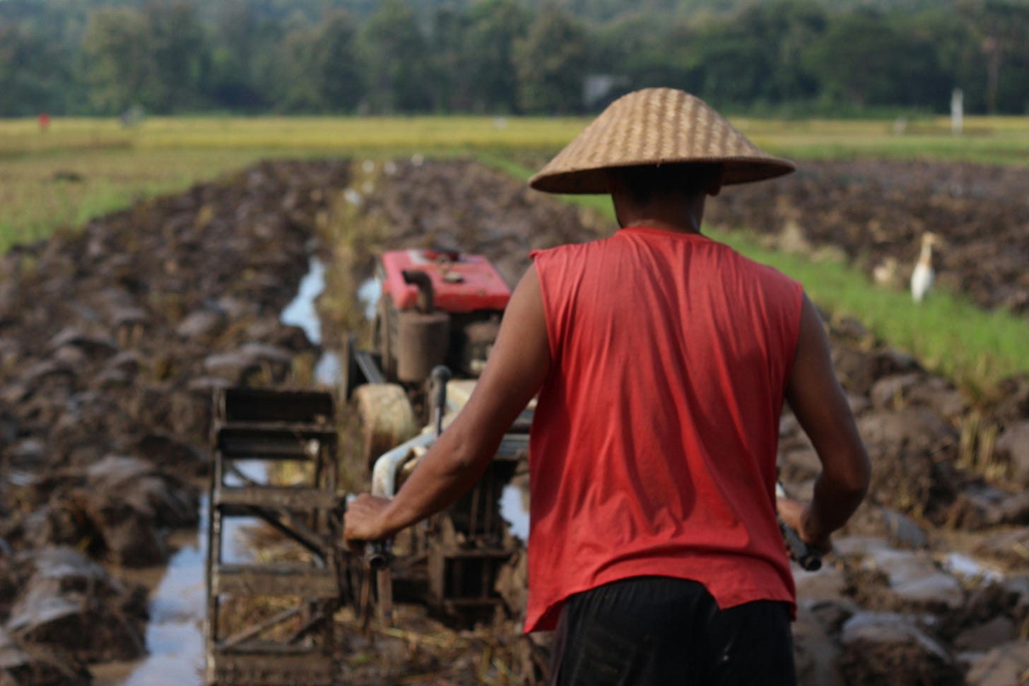 AgriConnect: World Bank platform to transform farming – Active Value