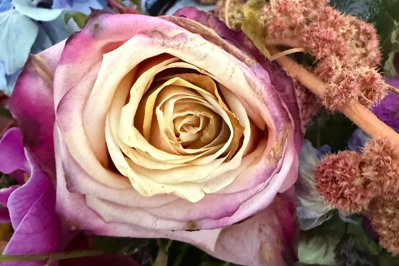 Roro Subs | ROSIE ODONNELL | Substack