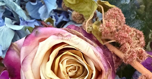 ROSIE ODONNELL | Substack