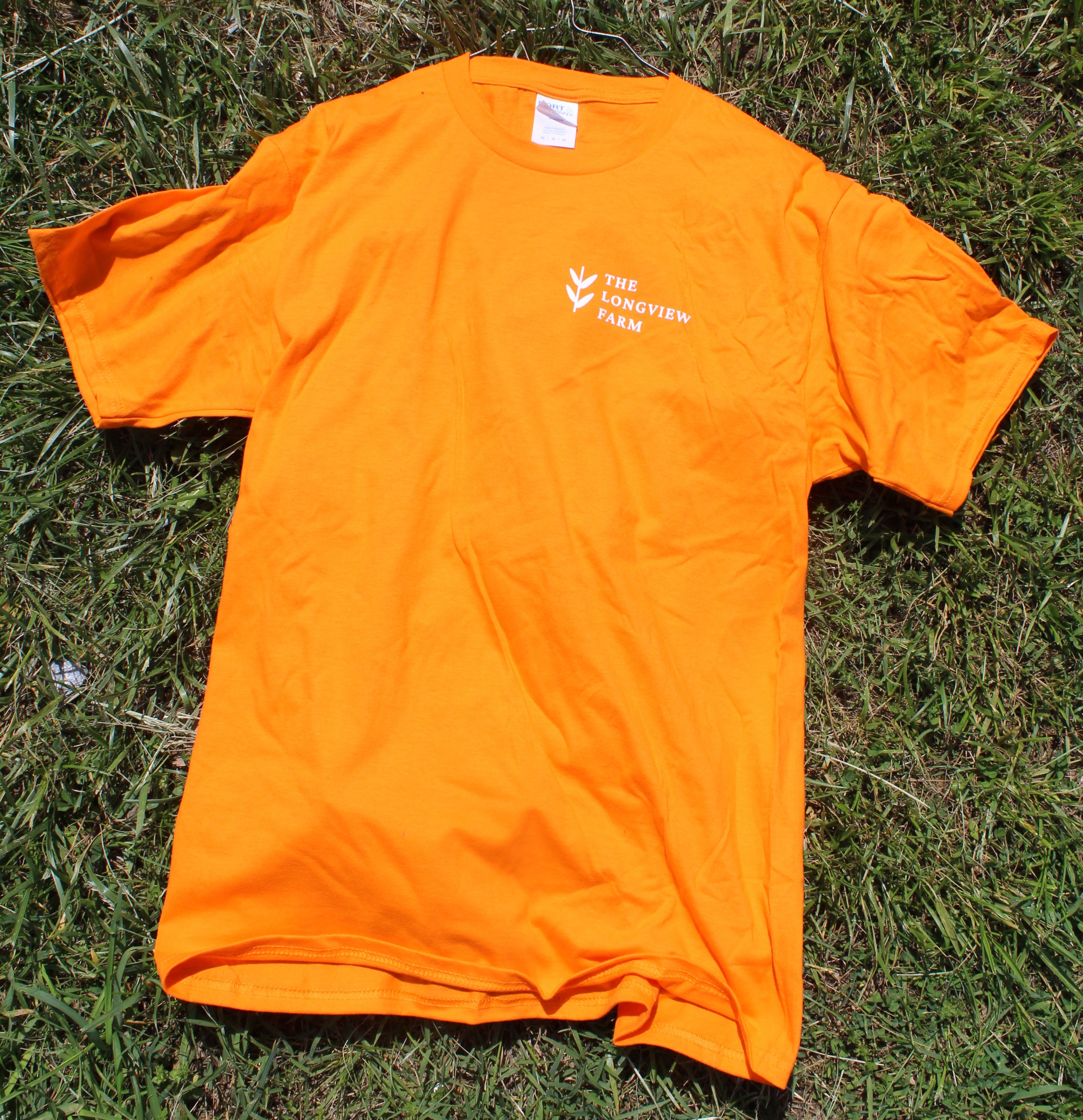 Introducing our merchandise! - by Leah