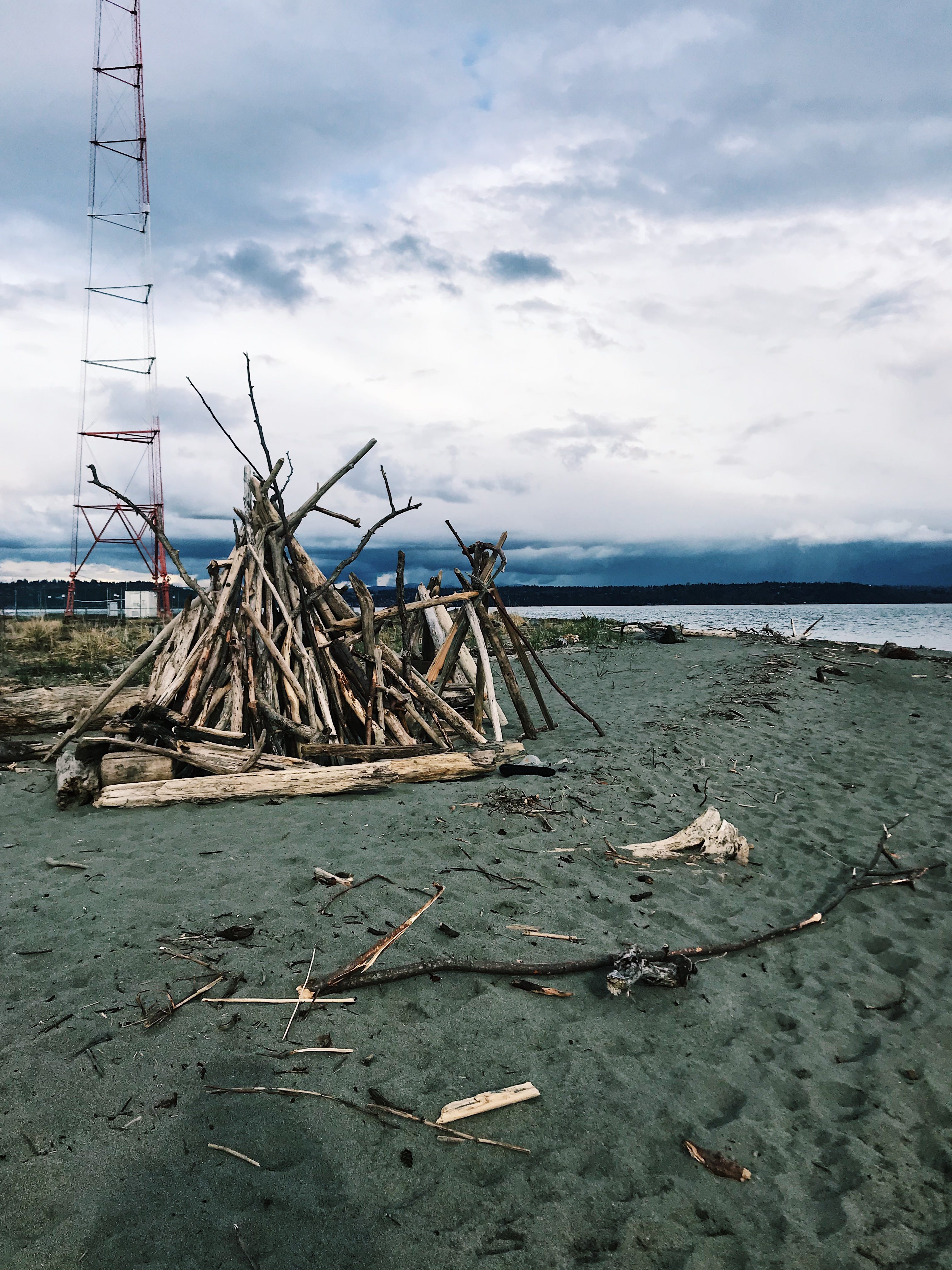 to the beach - by Shauna James Ahern