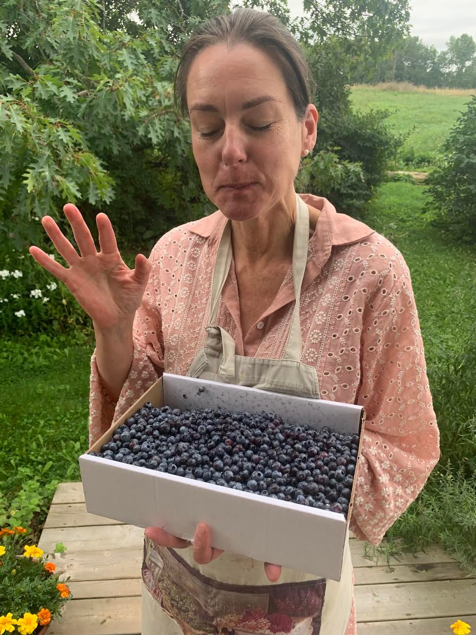 A Fresh Cream-Cheese Blueberry Tart