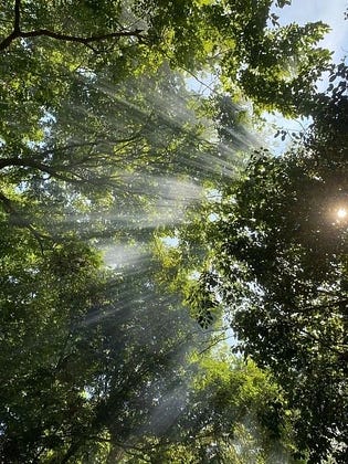 Noah Smith (@noahpinion):