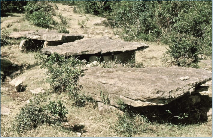 The ancient Megalith builders of Africa - by isaac Samuel