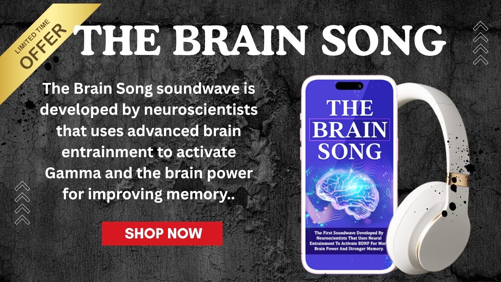 Brain Song Review 2026: Can This 12-Minute Audio Really Boost Focus?