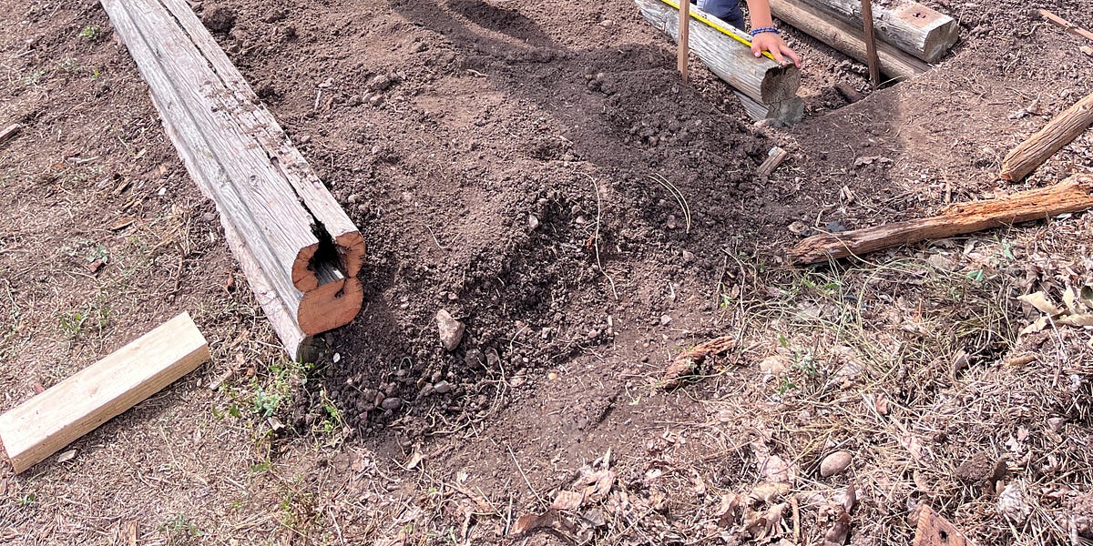 Observe and Interact: The First Step in Every Garden (and Every Life ...