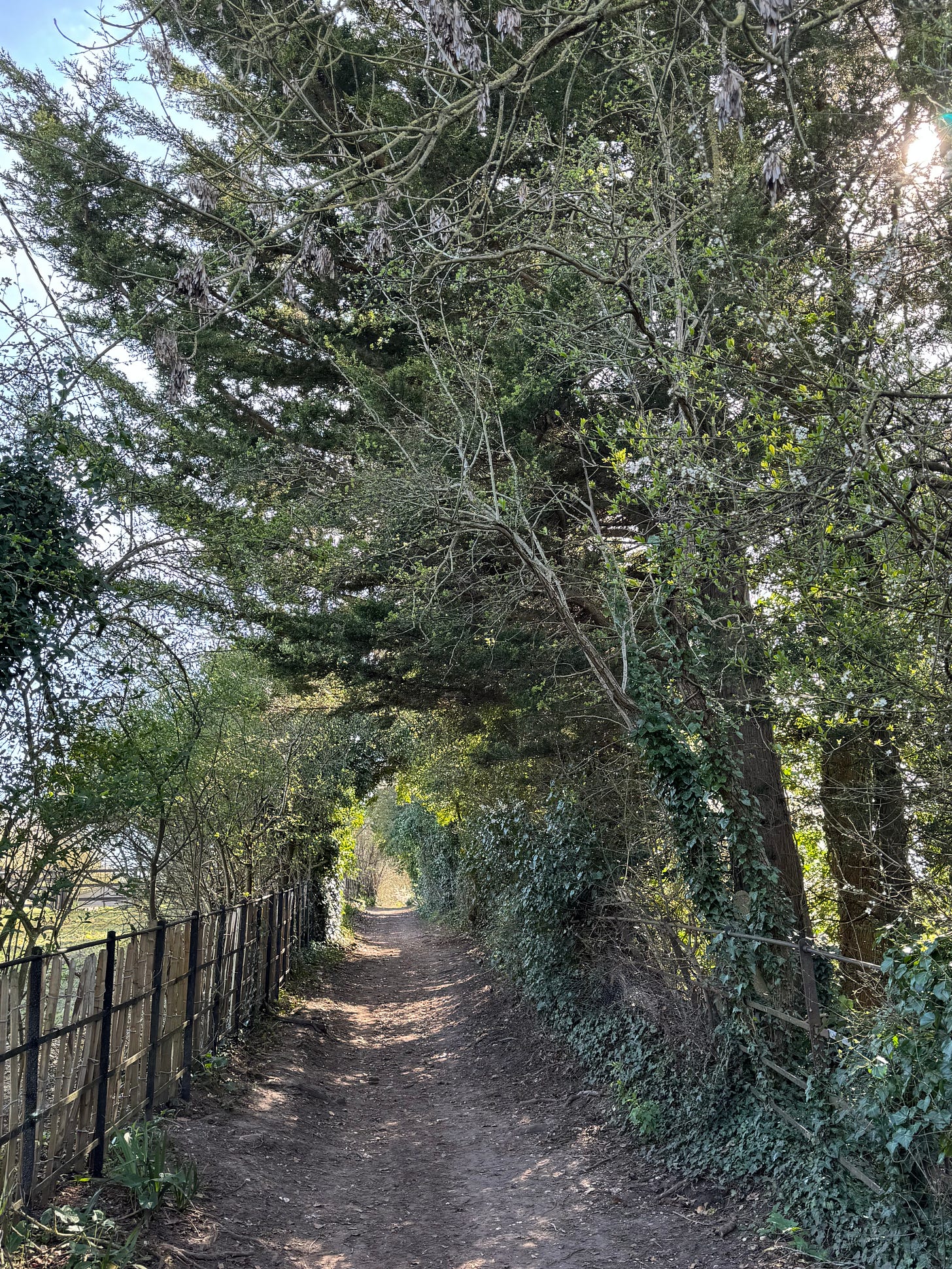 The Ridgeway Trail: Day 5 - by Mark Nash