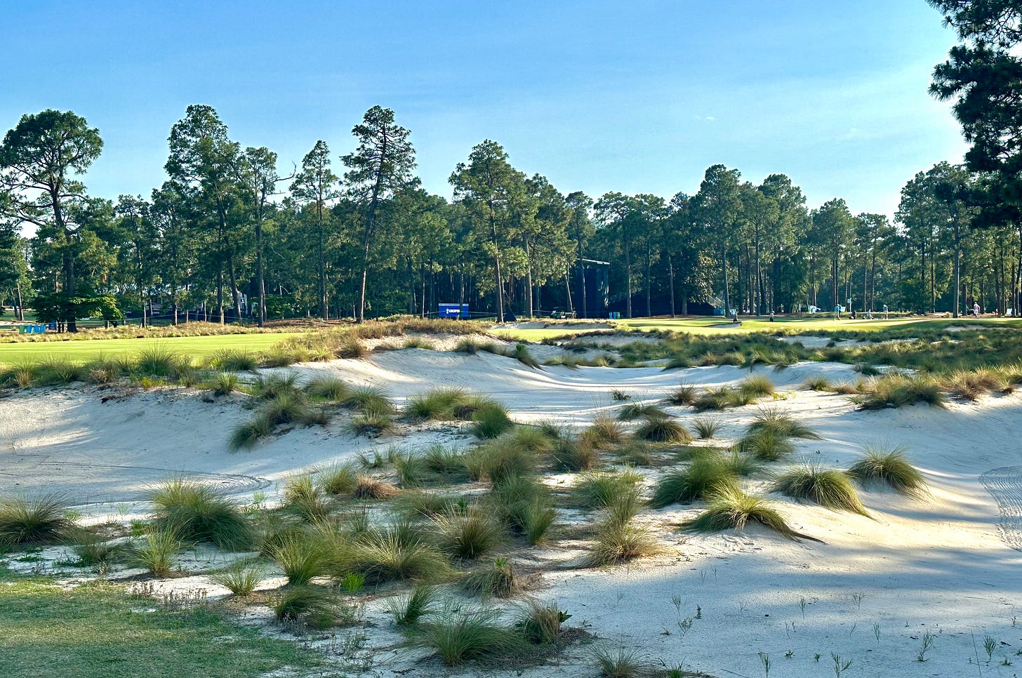 pinehurst stableford
