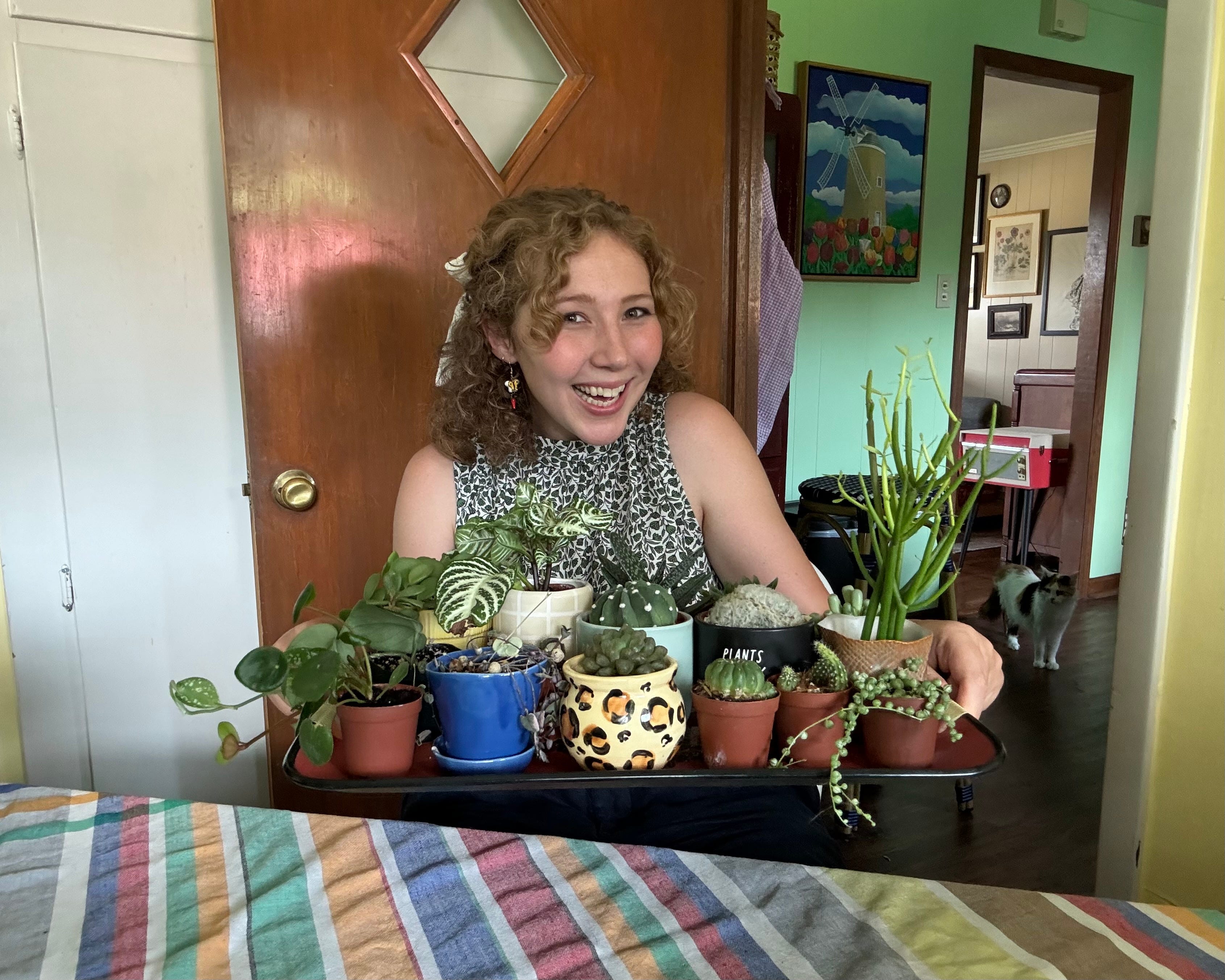 The Double Life of Succulents: Understanding Dormancy and Growth Cycles ...