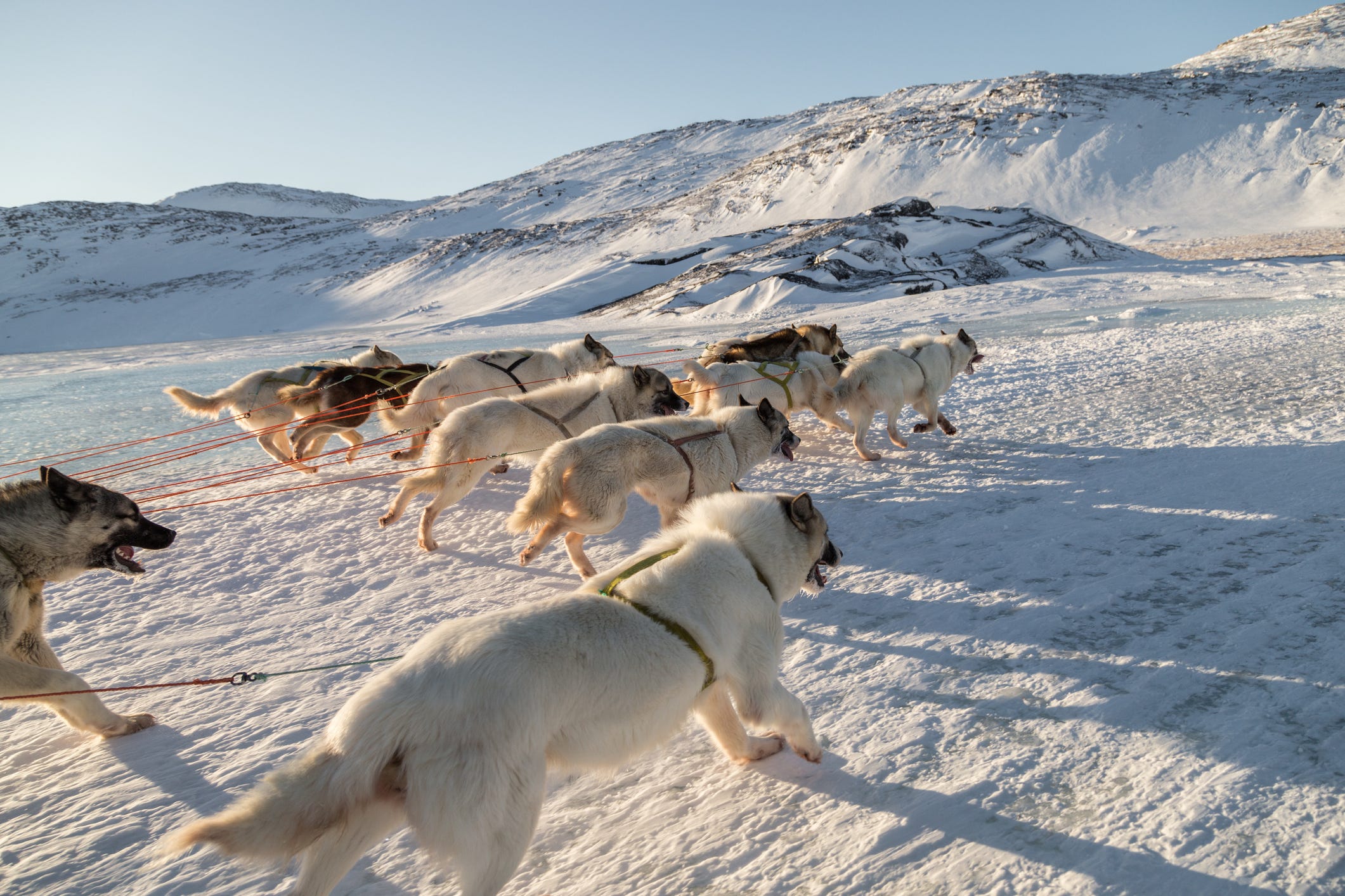 DUEL ON THE ICE - by Loades of History, Mike Loades