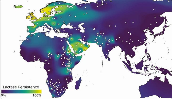 Population Genetics and Ancestry of the Haryanvi People