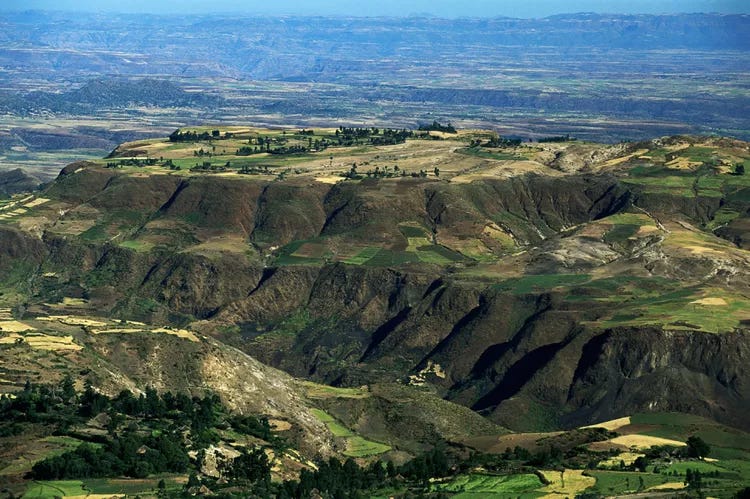 The Day the Earth Ripped Apart: The Birth of the East African Rift