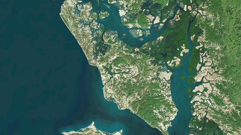 Ramree Island: The Forgotten WWII Myth, the Crocodile Massacre, and the ...