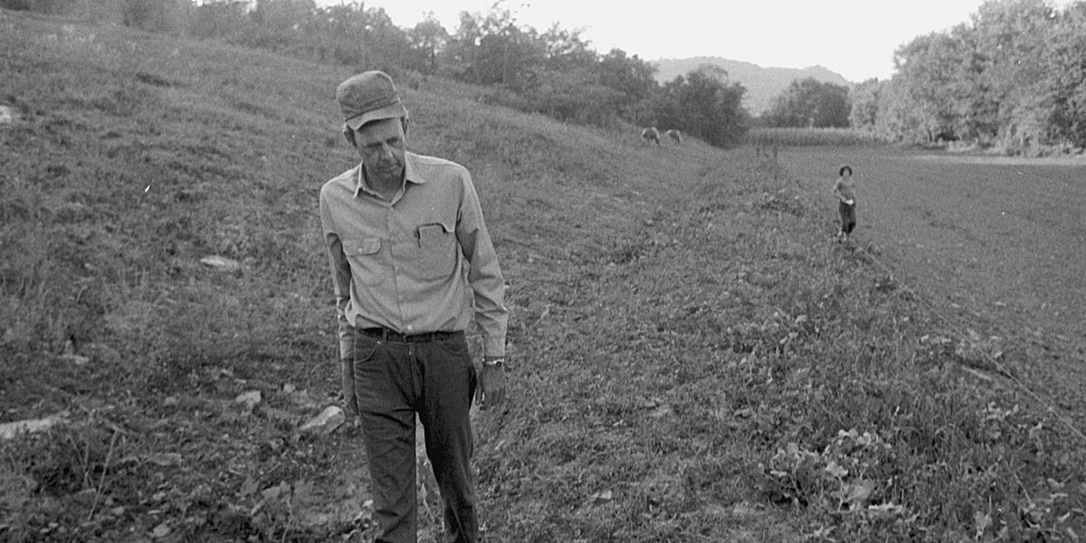 Wendell Berry's "Sabbath IV, 1996" - by Sean Johnson