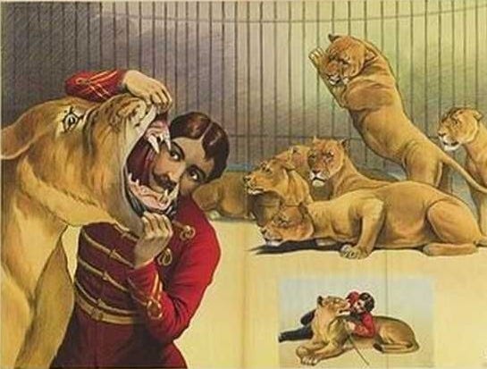 Big Cat Attacks Throughout History (The Dark Side of Circus Life ...