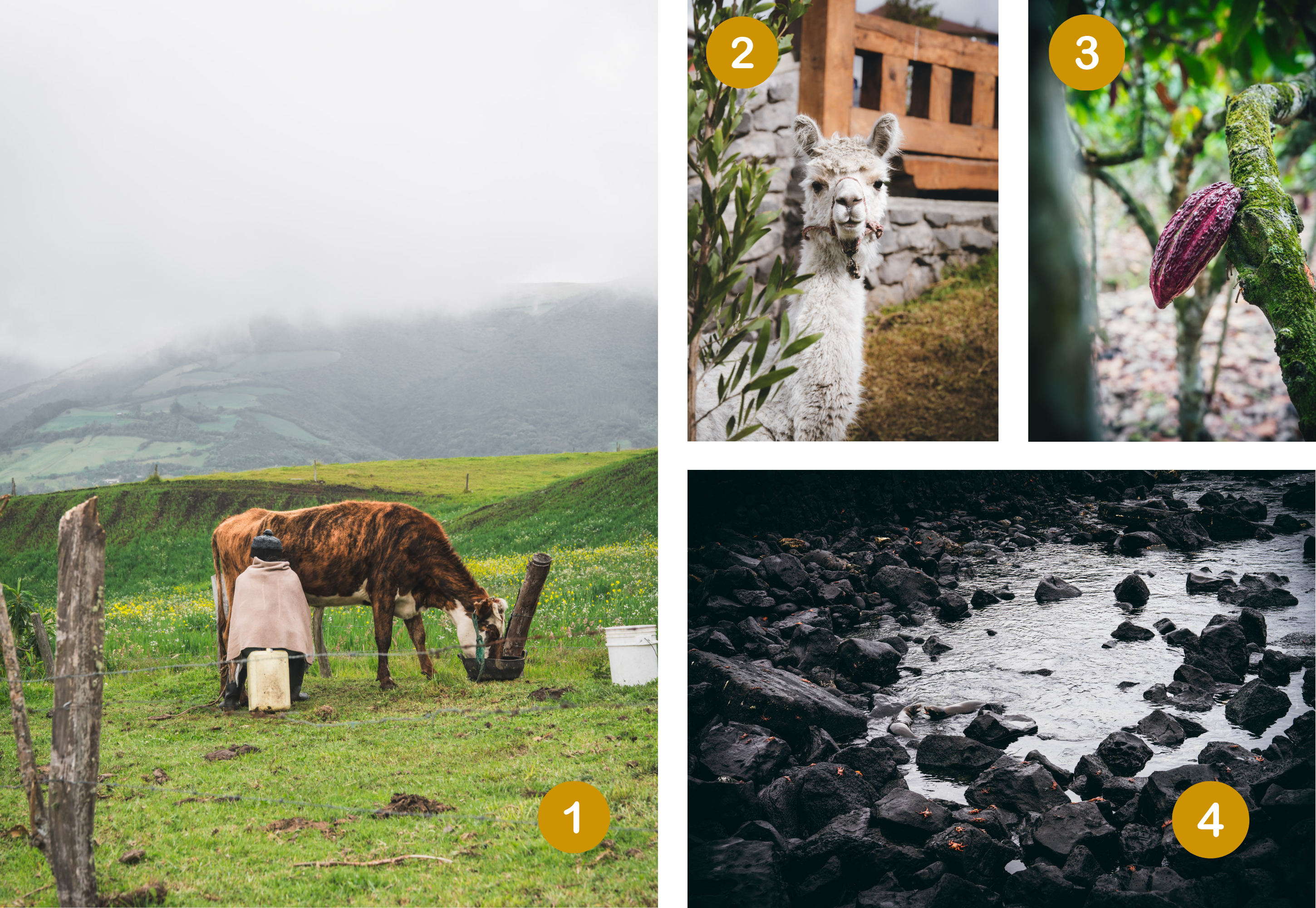 My Cup of Tea in 2026 - by Elisabet Juan Roca