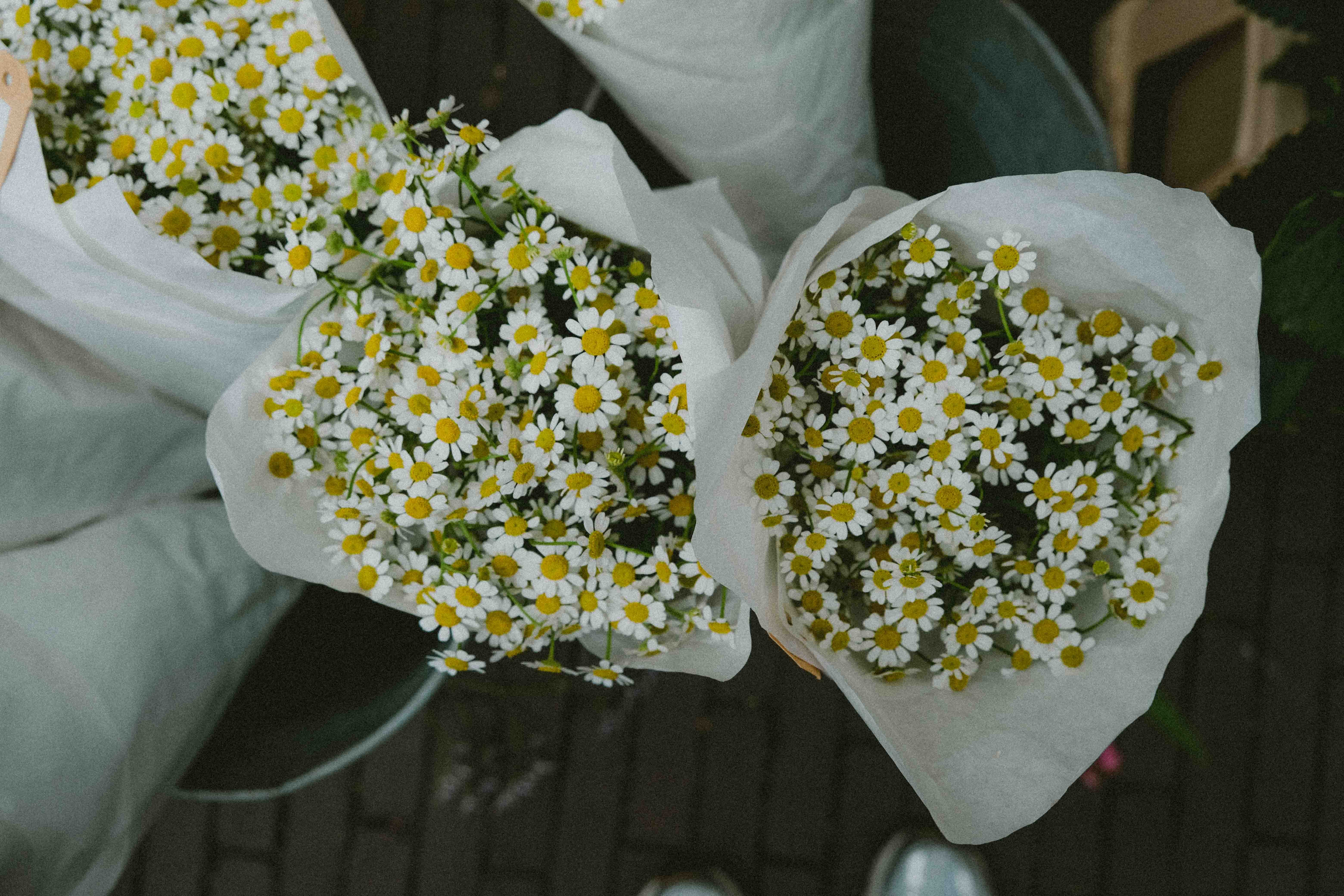 How to Cultivate a Practice of Giving