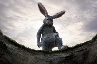 David Vance Substack | Substack