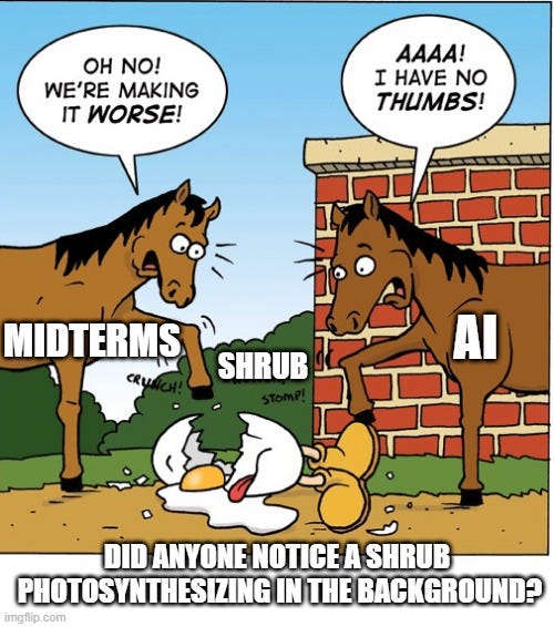 2026 Outlook in a Meme - by Le Shrub
