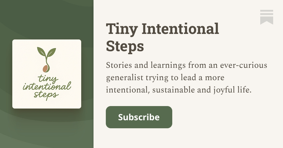 Tiny Intentional Steps | allie | Substack