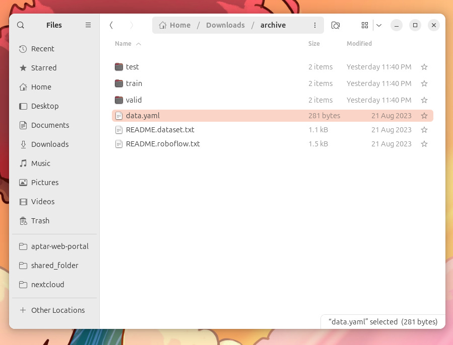 Deploying a custom YOLOv8 model on Raspberry Pi 5 with Hailo AI Hat+