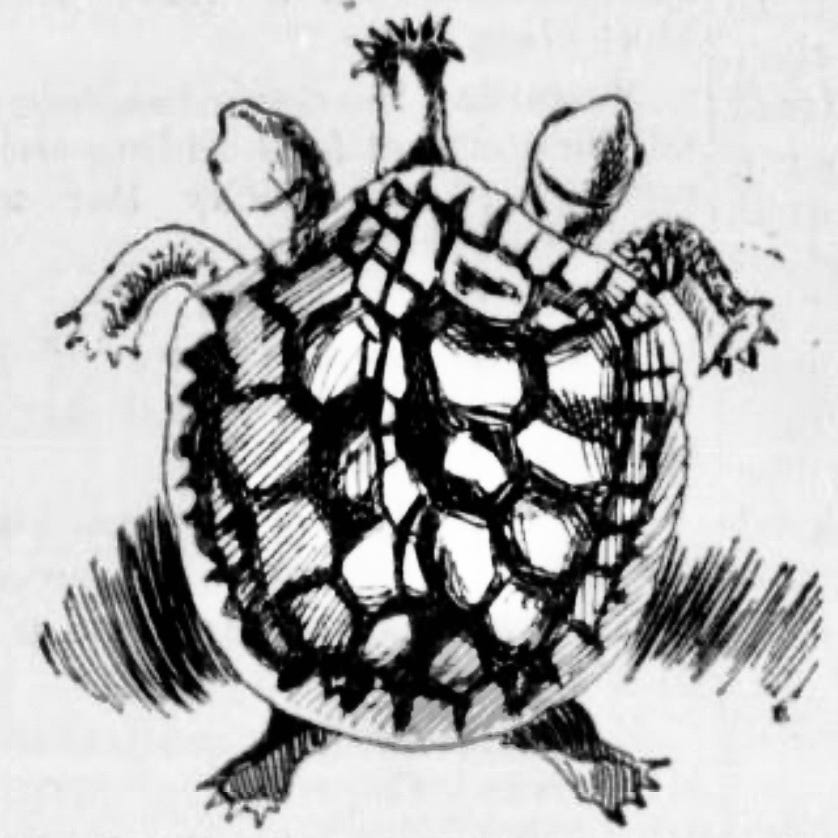 Odd’s Substack Substack by Odd Old News | Insights from Sidestack ...