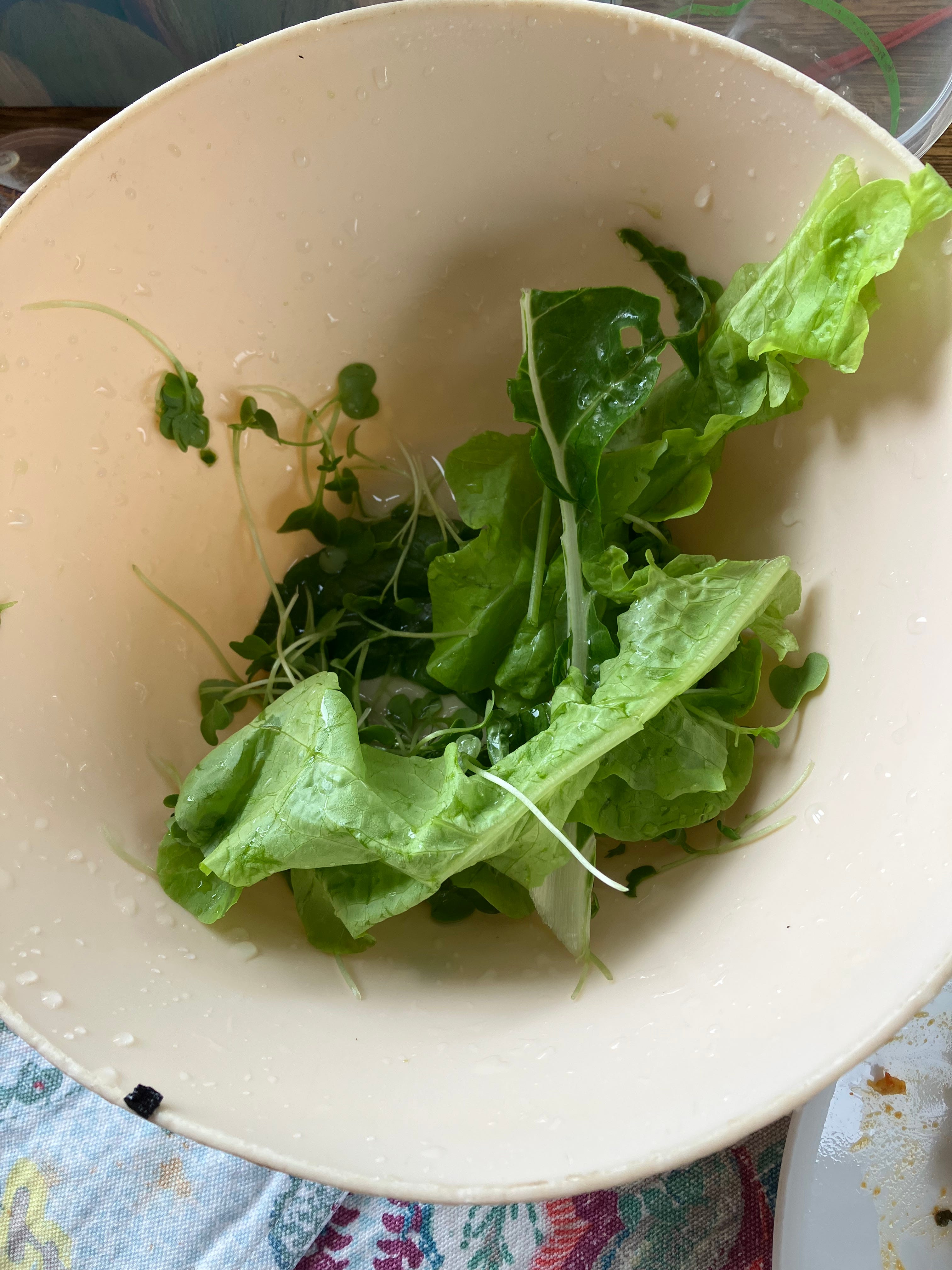 After the Rain: The Best Time to Harvest (and Eat) Salads - A Short Take