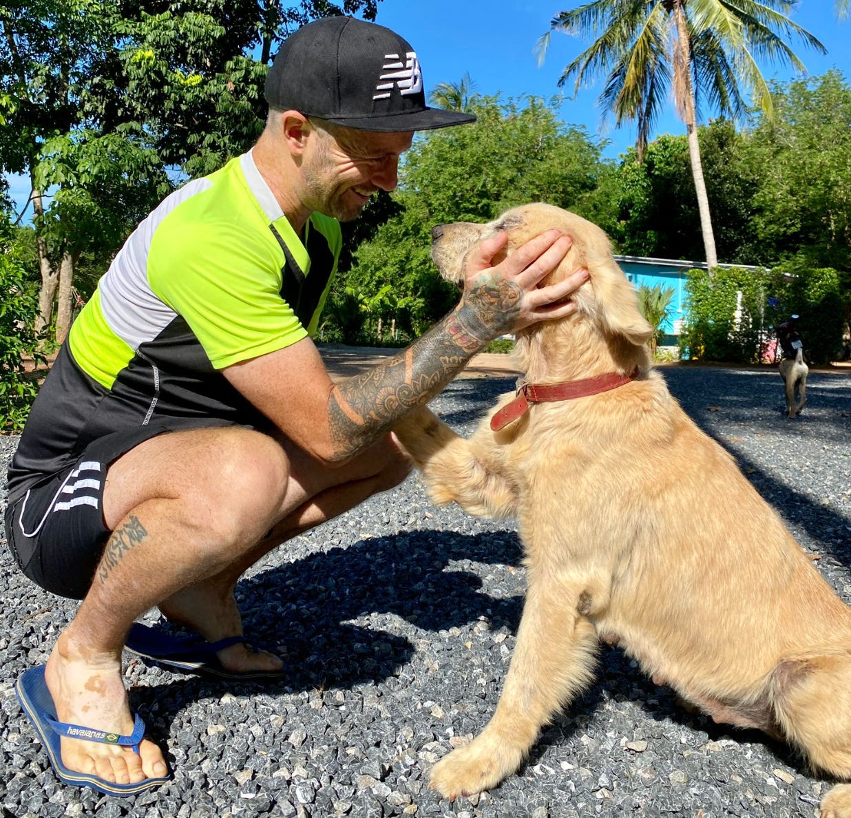 Farewell Tina - The Greatest Dog There Ever Was