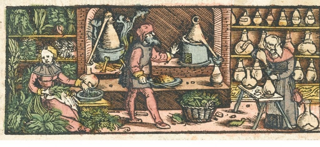 a medieval guide to winter preparations - by sabine carys