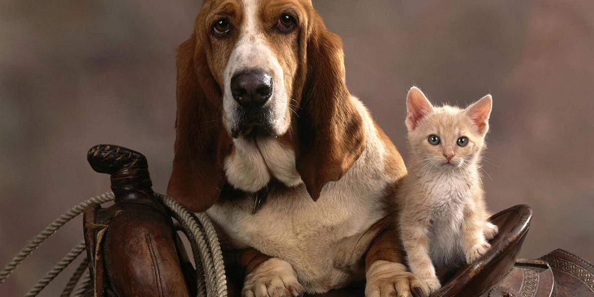 Comments - 🐾 Involuntary Consent: mRNA Technology Moves Into Pet Care