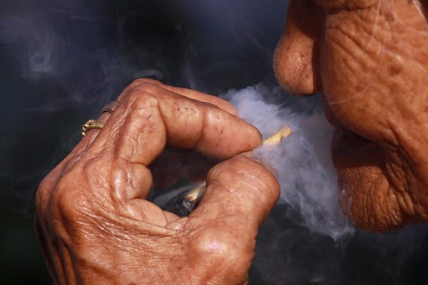 Frazzled Lit | Substack