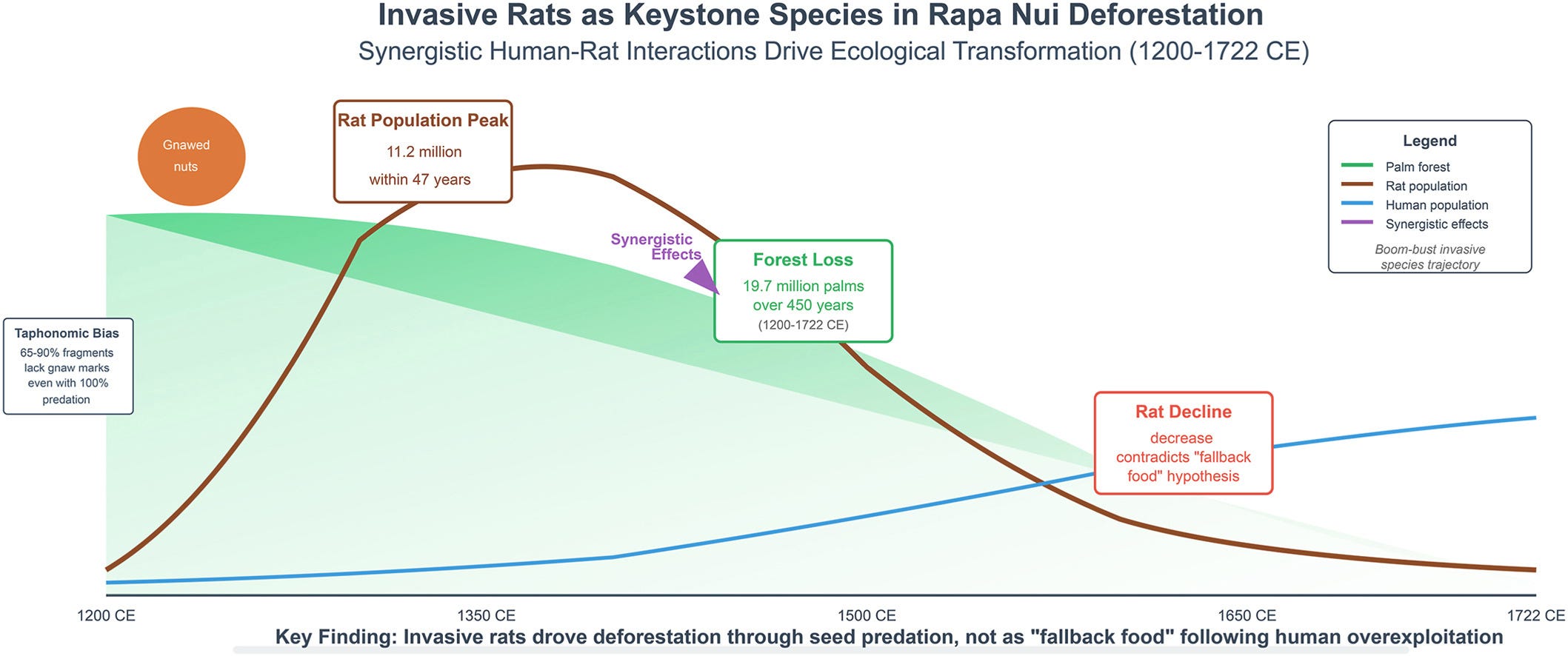 Rats, Palms, and the Fall of a Forest: Rethinking Rapa Nui’s “Ecocide”