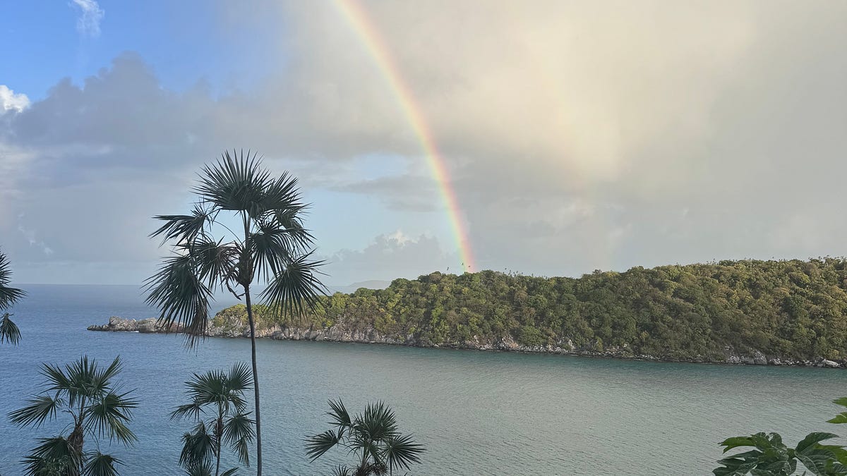 Sunday Notes, no. 19 - A Family Affair by Liz Adams