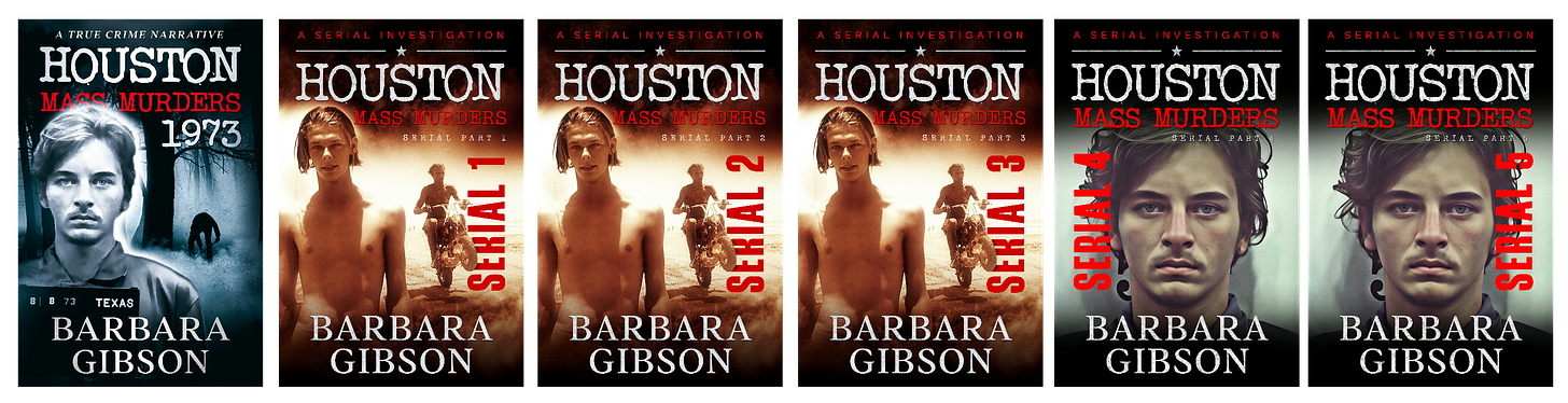About - Houston Mass Murders by Barbara Gibson