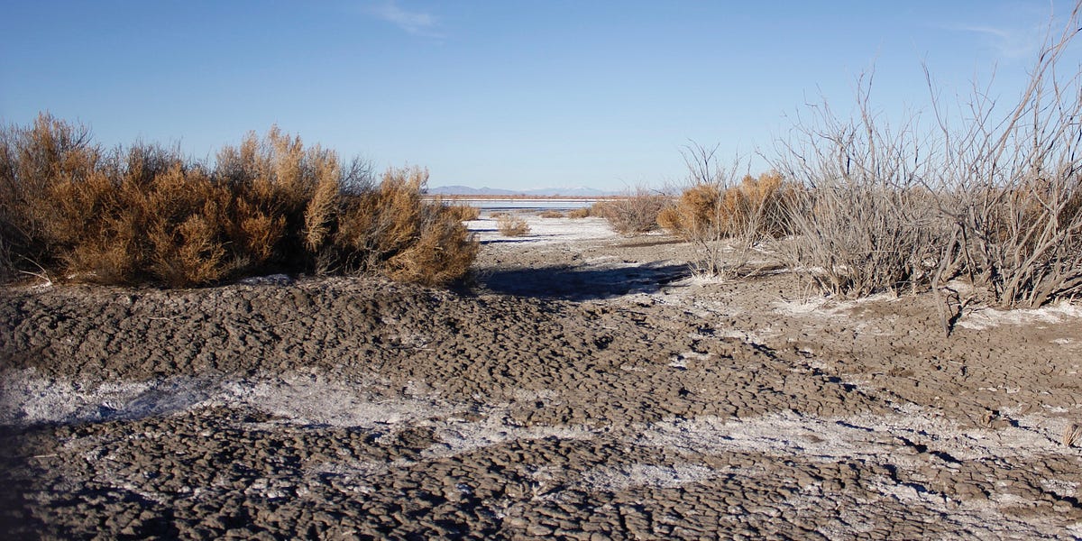 The driest state needs a climate plan - by Daniel Rothberg
