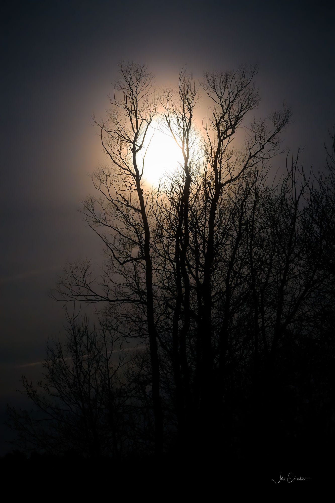 The Sap Moon - by John Charlton - My Photo Journal