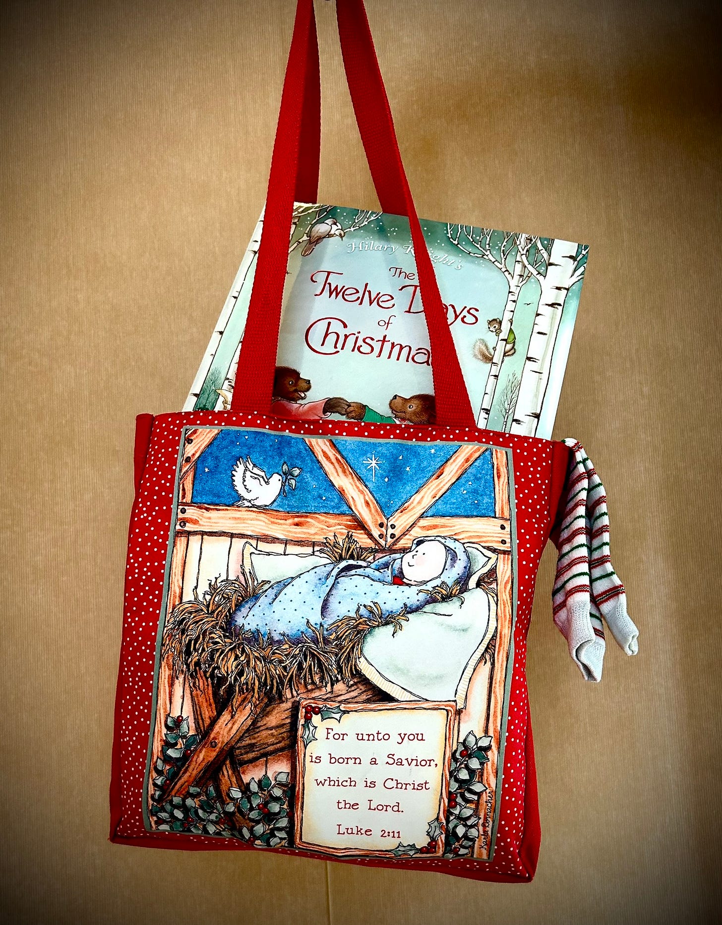 The Day After - by Annmarie Ragukonis