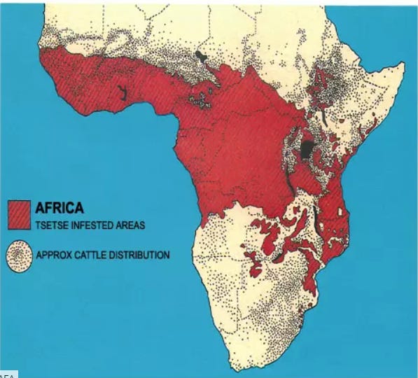 The Economic & Geopolitical History of Mali, Part 1: Gold & Medieval Mali